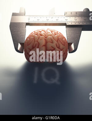 Caliper ruler measuring a human brain. Image concept of differences in ...