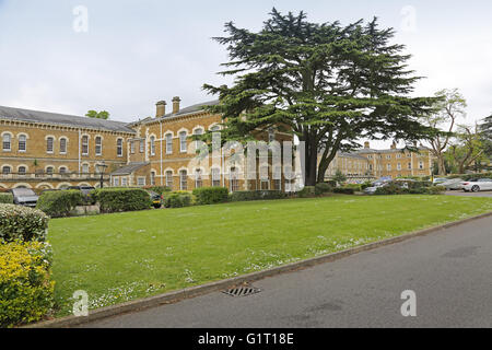 Princess Park Manor, New Southgate, London. A huge Victorian lunatic ...
