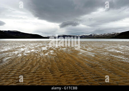 Rauðisandur, red sand beach, Westfjords, Iceland Stock Photo - Alamy