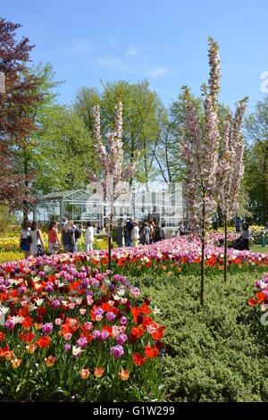 People visit the Fruit and Vegetable Garden at the Obama Presidential ...