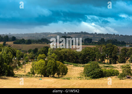 Meadows at Peninsula of Rilan, Chiloe Island, Chile Stock Photo - Alamy