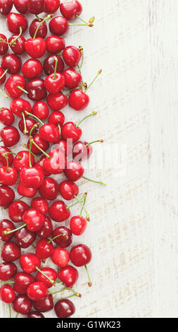 Fresh sweet cherries with stalk from Dalmatia, isolated on a blue ...