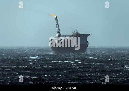 Oil production platform Sevan Hummingbird, Chestnut oilfield, oil ...