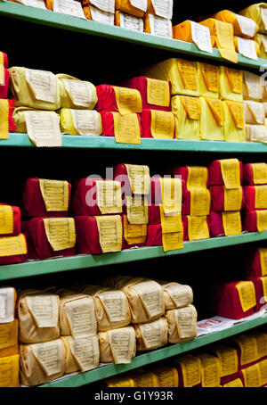 Ancient Tibetan Buddhist texts preserved at the Library of Tibetan ...