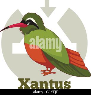 ABC Cartoon Hummingbird Stock Vector Image & Art - Alamy