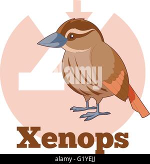 A letter X for xenops Stock Vector Image & Art - Alamy