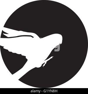 Budgerigar or budgie parrot icon in thin line style. Australian ...