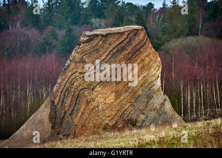 Fur formation, marine sediment made of diatoms and clay minerals ...
