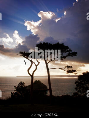 View of Tor Bay with Thatcher Rock on a perfect Summer afternoon, from ...