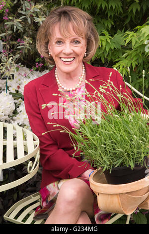 Esther Rantzen TV Presenter from Thats Life with her husband Stock ...