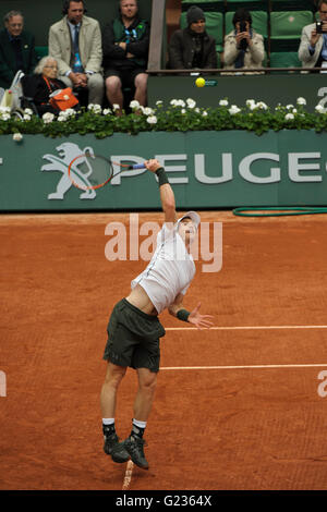Andy Murray (GBR) during the Roland Garros French Tennis Open 2016, on ...