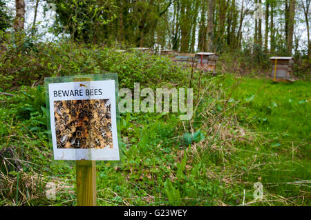 Sign saying Beware Bees in Batheaston, Somerset, England, UK Stock ...