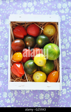 Multi-colored cherry tomatoes Stock Photo - Alamy