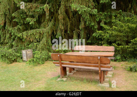Old wooden dustbin and bench standing at path in park Stock Photo - Alamy