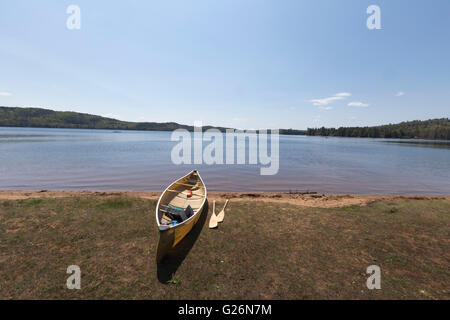 Spring in Algonquin Park, Ontario - Canada Stock Photo - Alamy