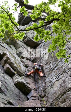 Climber climbing The Dewerstone, near Shaugh Bridge, Dewerstone Wood ...