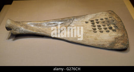 Oracle bone with scripts unearthed from The Tomb of Fu Hao. Beijing ...