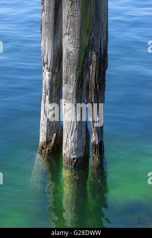 Wooden pole standing in the water with reflection on the surface Stock ...