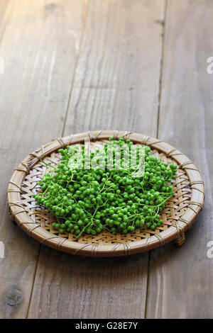 fresh green sansho japanese pepper Stock Photo - Alamy