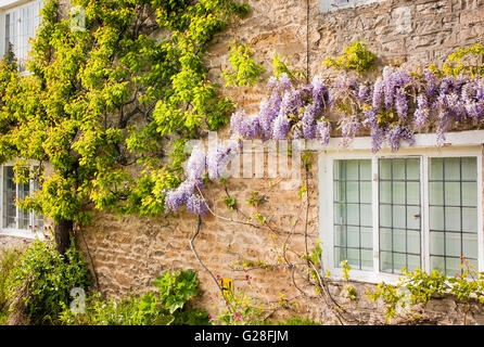 Aynho village, Northamptonshire, England, UK Stock Photo - Alamy