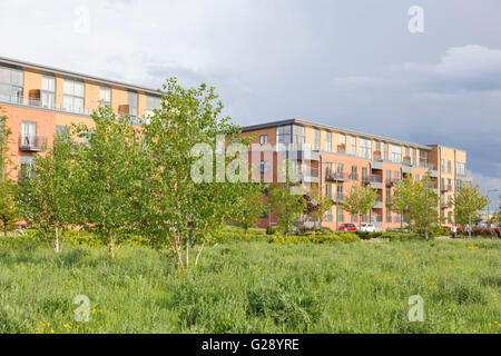 New waterside apartments at Diglis, Worcester, Worcestershire, England ...