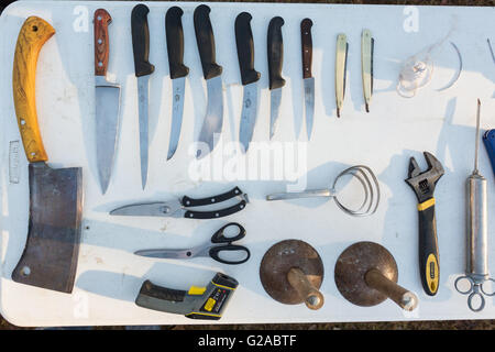 Hog slaughtering tools Stock Photo - Alamy