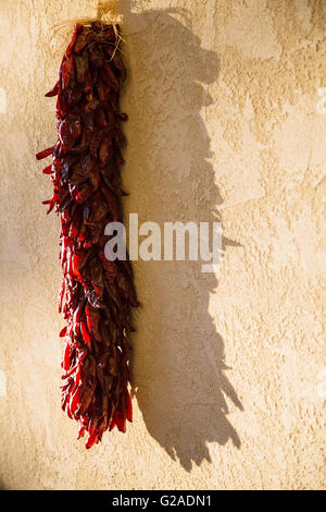 Red chili peppers drying on a sunlit concrete surface. Trip from Guilin ...