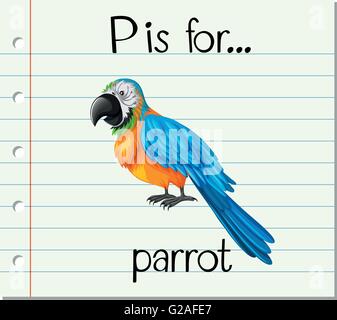 Flashcard letter P is for parrot Stock Vector Image & Art - Alamy