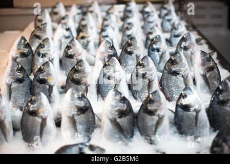 Fresh Fish For Sale Dimotiki Agora Athens Greece // ATHENS, Greece ...