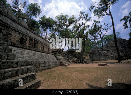 Temple 11 at West Court of Acropolis of Maya Archaeological Site of ...