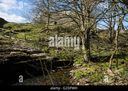 Geise farm walk, Thurso, Caithness, Scotland. North Coast Stock Photo ...