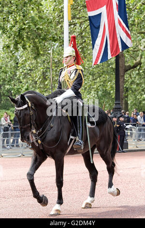The ceremonial dress uniform of the Royal Dragoons Guards as they ...