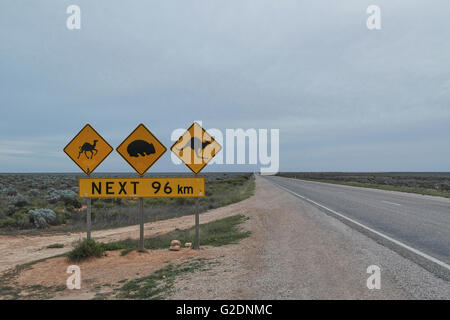 Road signs on the Eyre Highway, Nullarbor Plain, South Australia Stock ...