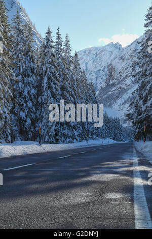 Landro valley near Dobbiaco/Toblach - Italy Stock Photo - Alamy