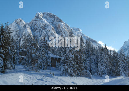 Fort Landro in the landro valley near Dobbiaco/Toblach - Italy Stock ...