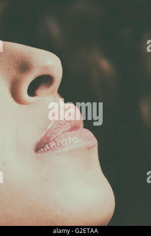 Side view of a nose, lips and mouth of a single brown horse. Focus on ...