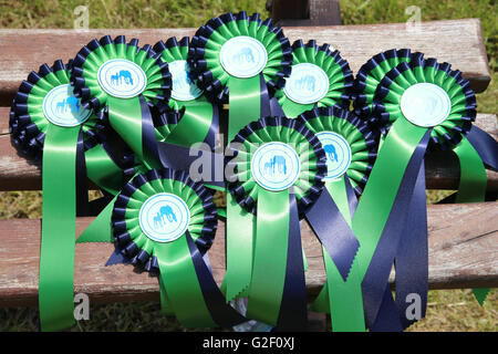 a second place rosette at a horse riding or show jumping event Stock ...