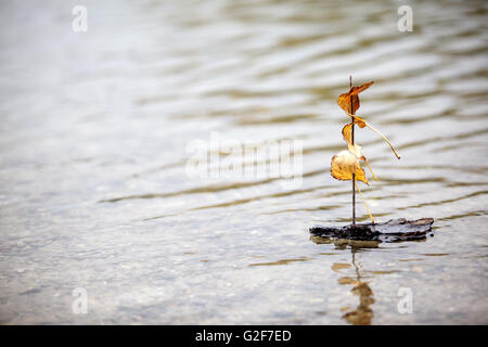 Simplte tree bark boat with sails made of leaves swimming in the river ...