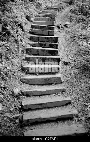 Wooden steps on a hiking trail on a hill in the woods during autumn ...