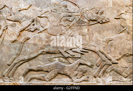 Assyrian wall carving at the British Museum 2 Stock Photo - Alamy