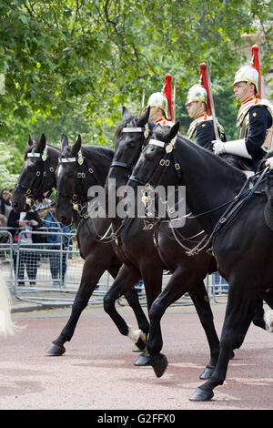 Changing of the guard, royal bodyguards on palace square, Amalienborg ...