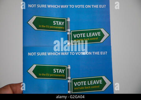 Vote Leave campaign leaflet for next month's EU Referendum Stock Photo ...