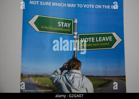 Vote Leave campaign leaflet for next month's EU Referendum Stock Photo ...