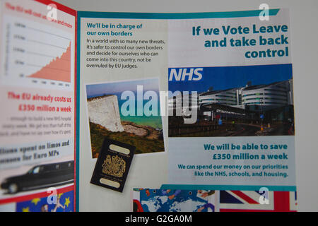 Vote Leave campaign leaflet for next month's EU Referendum Stock Photo ...
