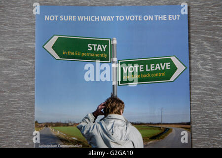 Vote Leave campaign leaflet for next month's EU Referendum Stock Photo ...