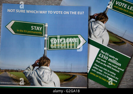 Vote Leave campaign leaflet for next month's EU Referendum Stock Photo ...