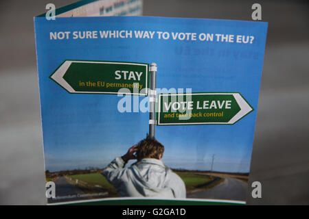 Vote Leave campaign leaflet for next month's EU Referendum Stock Photo ...