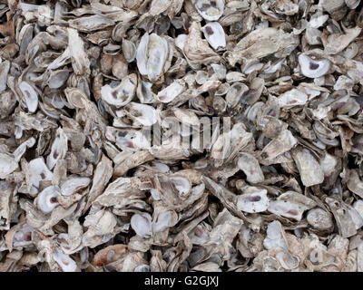 A Pile of oyster shells Stock Photo - Alamy