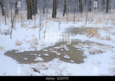 country forest river in early spring with no vegetation on the shores ...