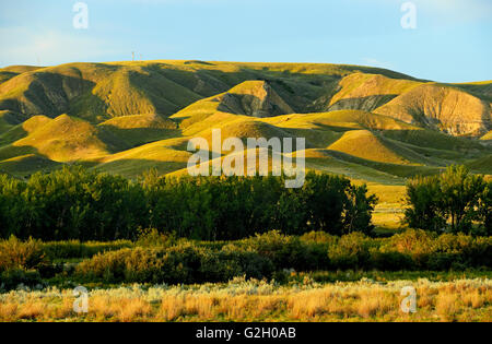Canada, Alberta, Canadian Badlands, Red Deer River Valley, Dinosaur ...